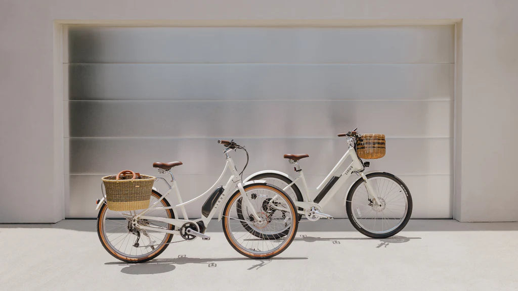 E-Bikes for Everyone: Join the Movement for Accessibility and Affordab ...